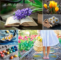 How to Create a Seasonal Spring Mood Board - Gigi's Ramblings